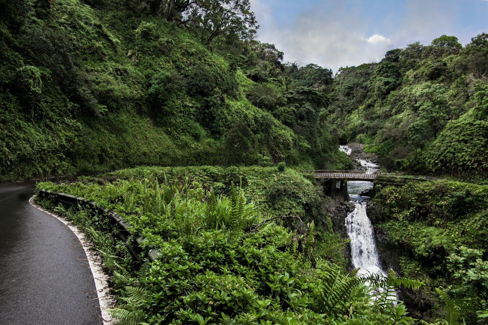 Maui in December: Weather, Things to Do, & Tips